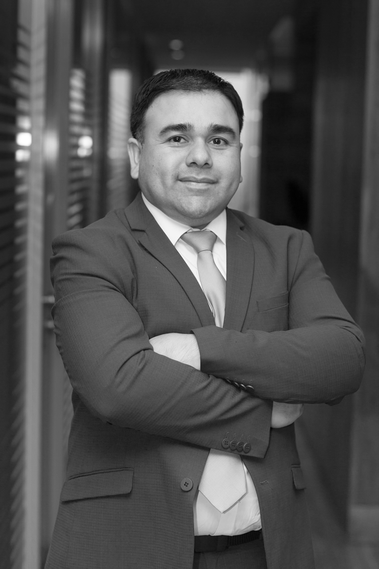 Currículum César Molina Maldonado – Abuid